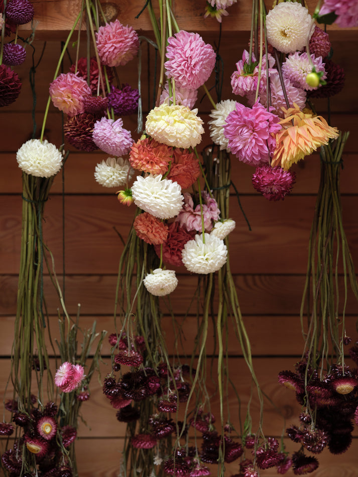 SEASONAL BUNCH – Burnt Fen Flowers