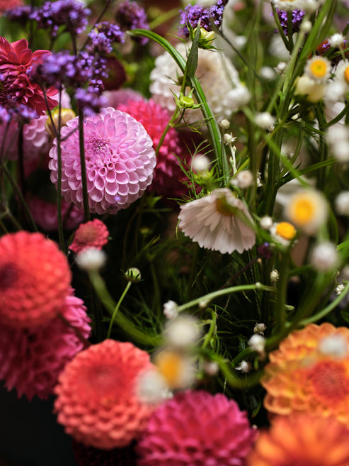 SEASONAL BUNCH – Burnt Fen Flowers